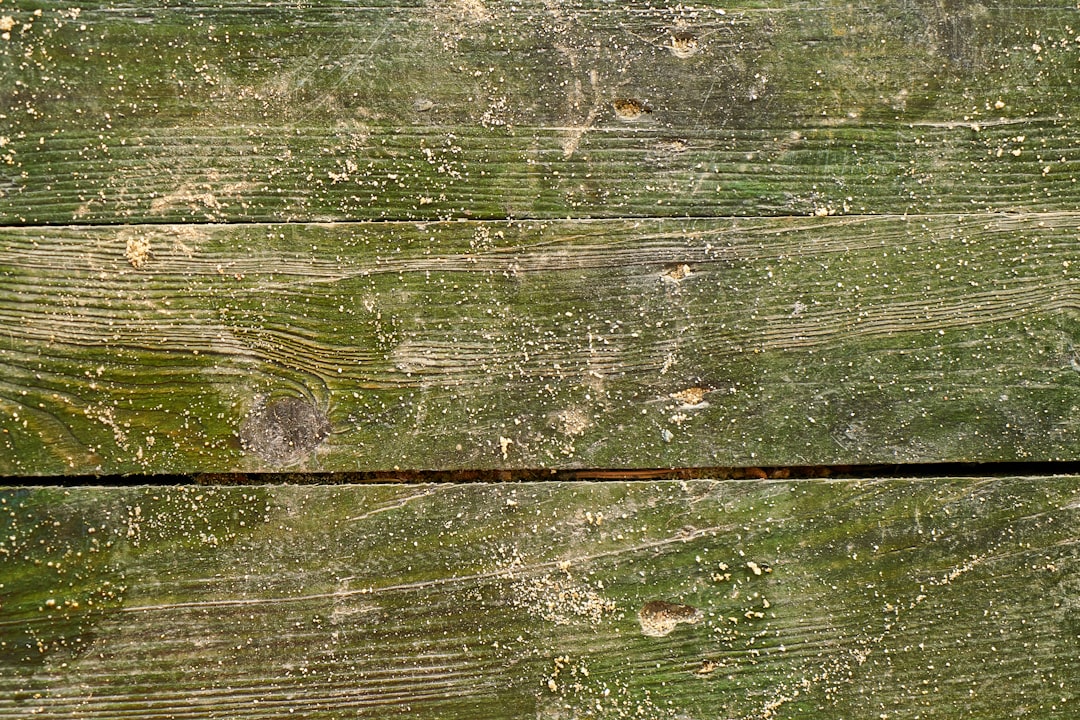 Zo maak je zelf een plank achter de bank: extra ruimte en gemak in huis ...